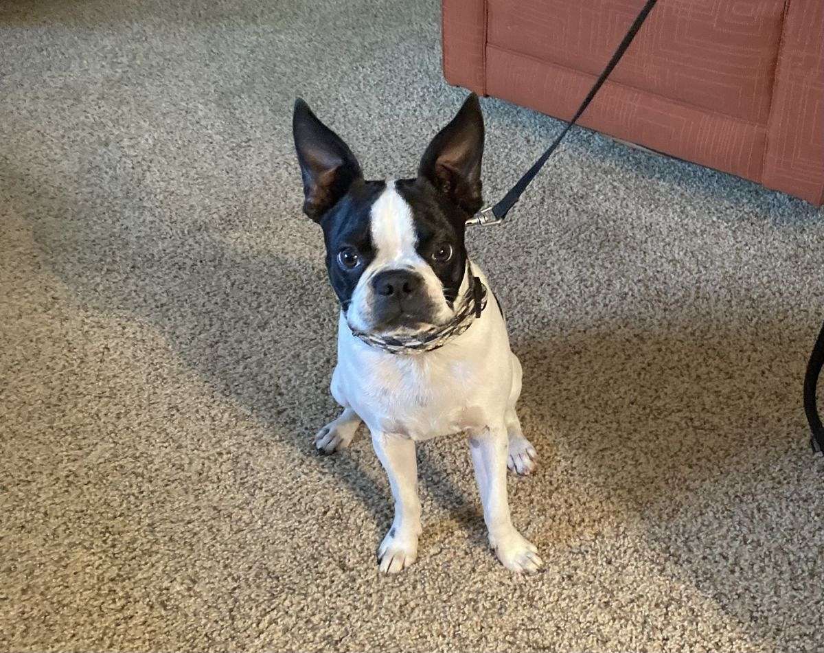 Can the kids come out and play?
