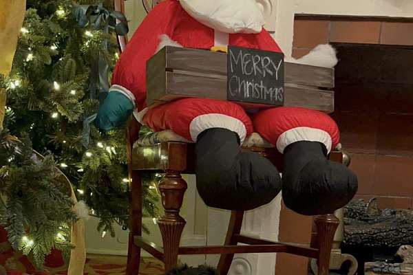 Christmas Babies