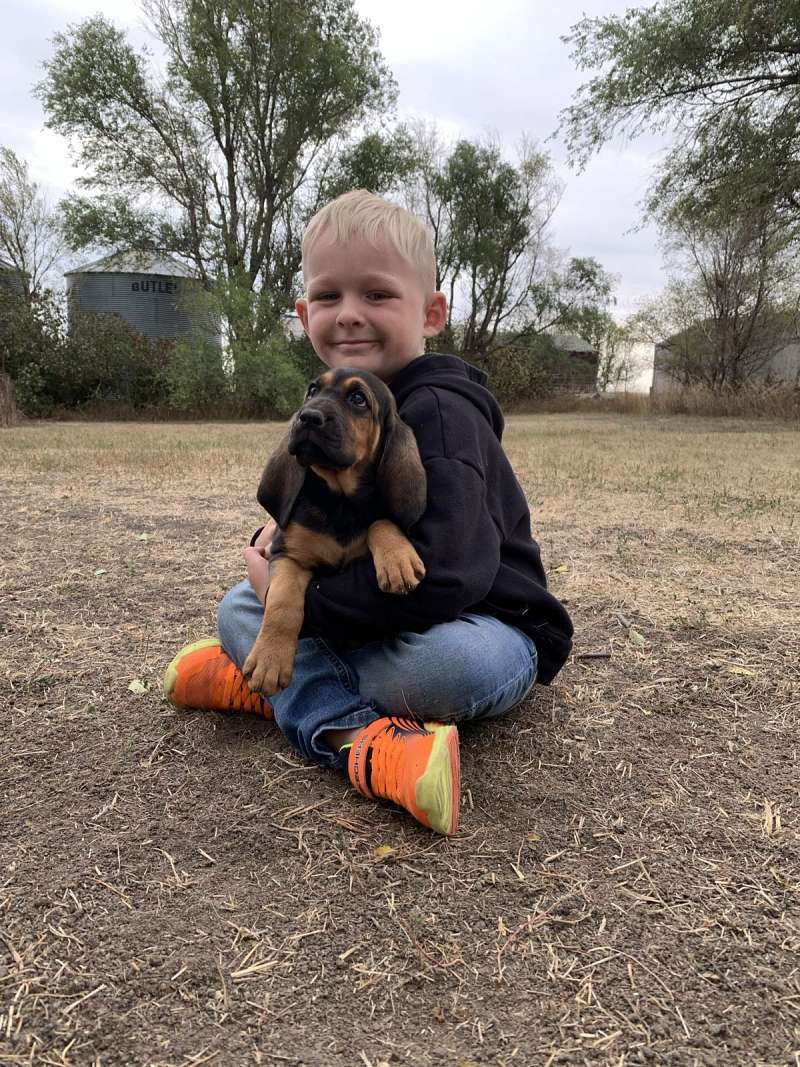 Puppies for Sale in South Dakota